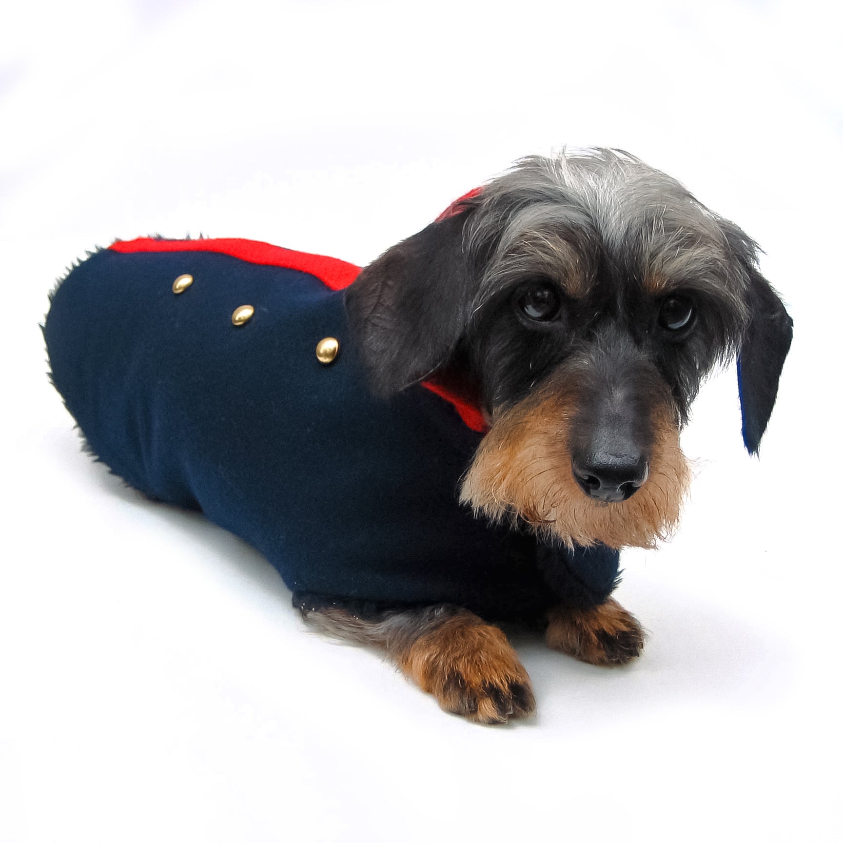 Canine Couture Collection | Handmade Dog Coats and Collars