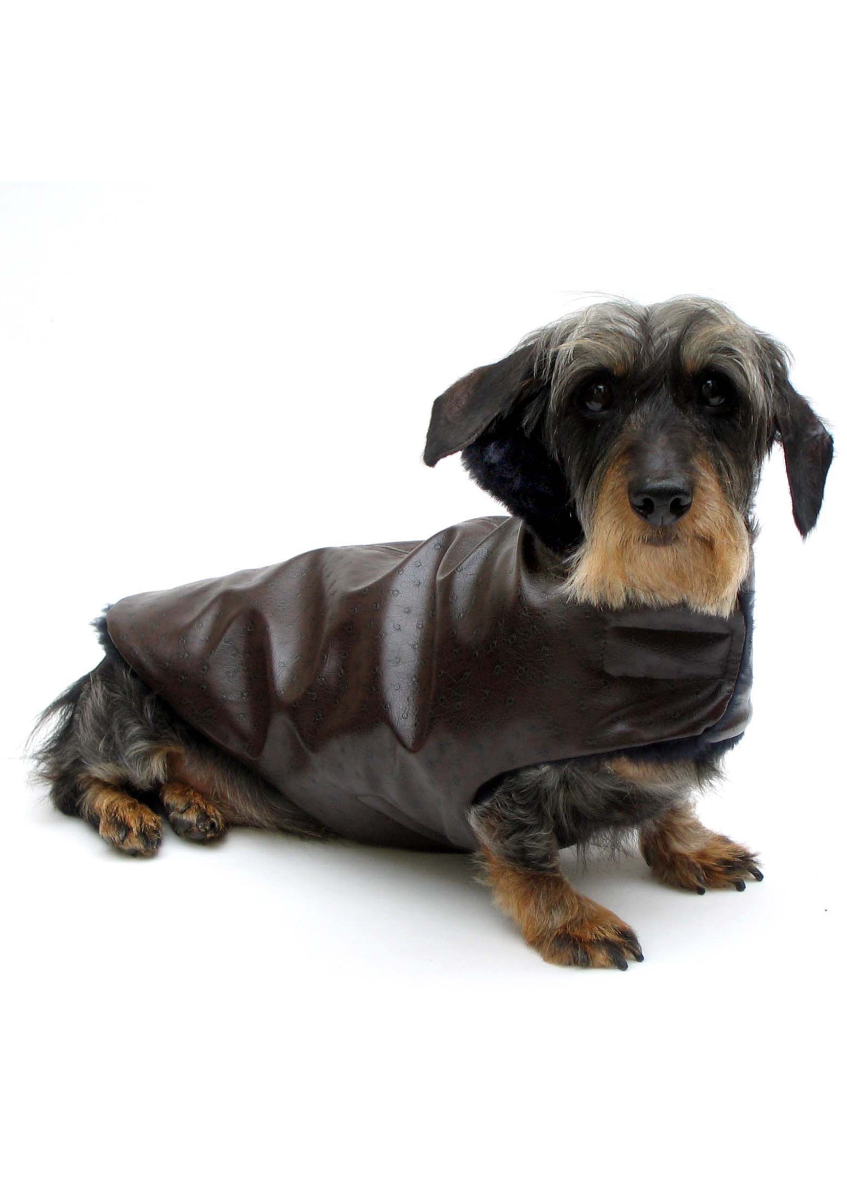 Canine Couture Collection | Handmade Dog Coats and Collars